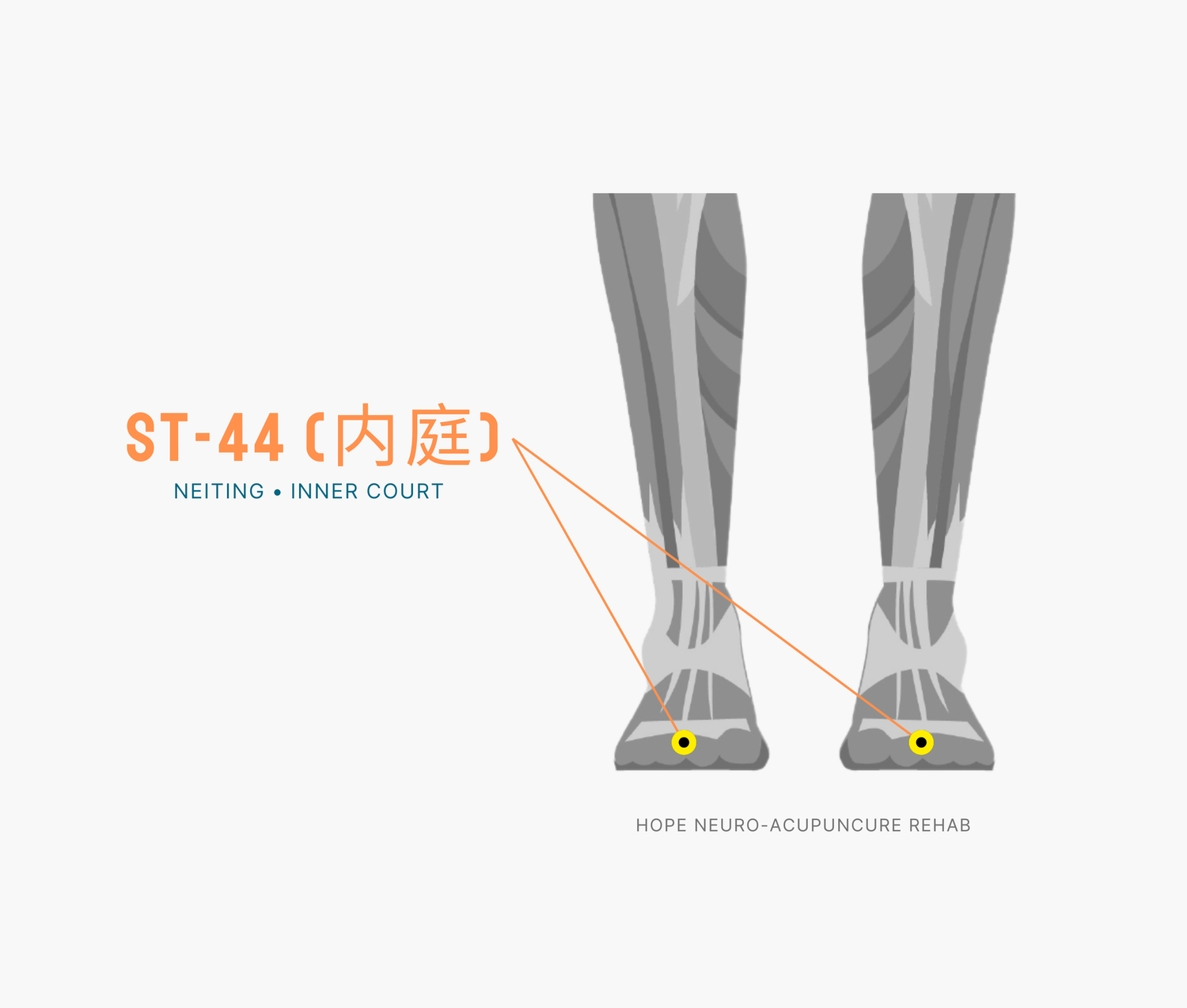 Neiting Acupuncture Point: The Complete Guide to ST 44 Indications ...