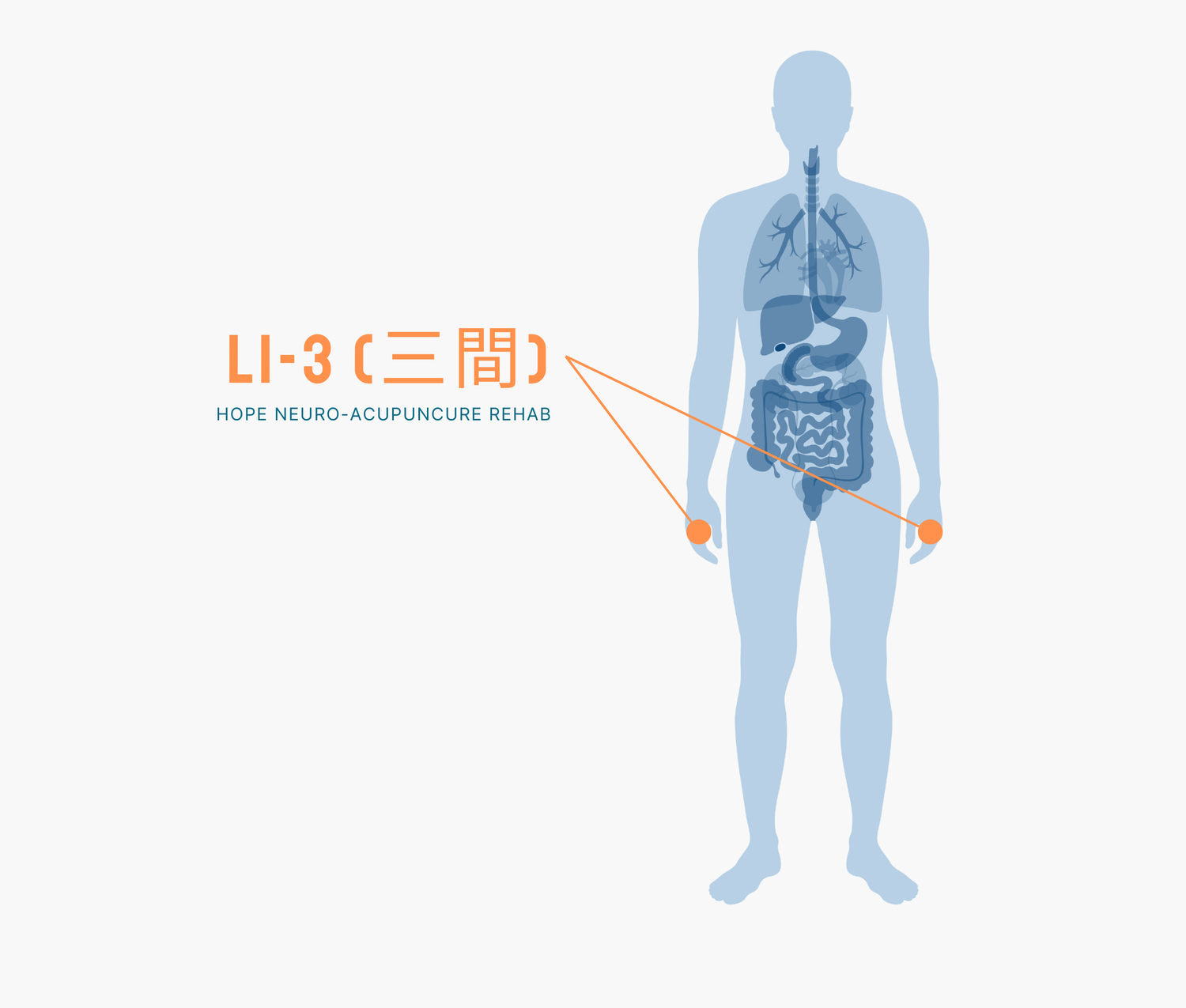 Meridian Points Chart for Acupuncture – Blog Visuals are Free to Use ...