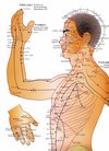 How Deep Do Acupuncture Needles Go? An In-Depth Look (2024) — Holistic ...