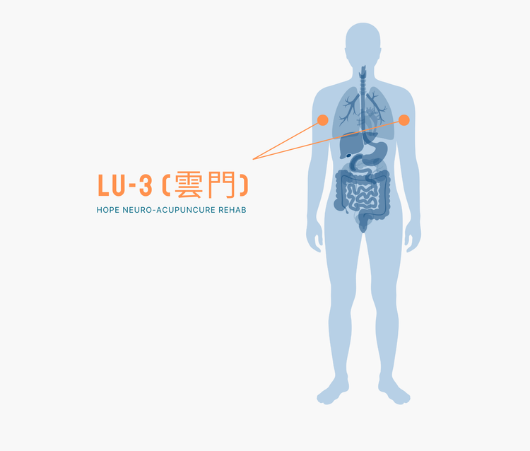Meridian Points Chart for Acupuncture – Blog Visuals are Free to Use ...