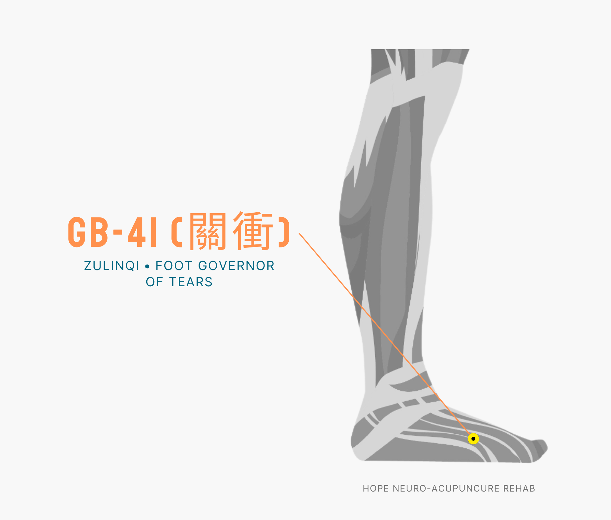 GB 41 Acupuncture Point: The Complete Guide to Indications & Actions ...