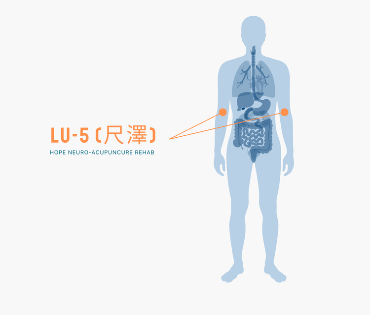 Meridian Points Chart for Acupuncture – Blog Visuals are Free to Use ...
