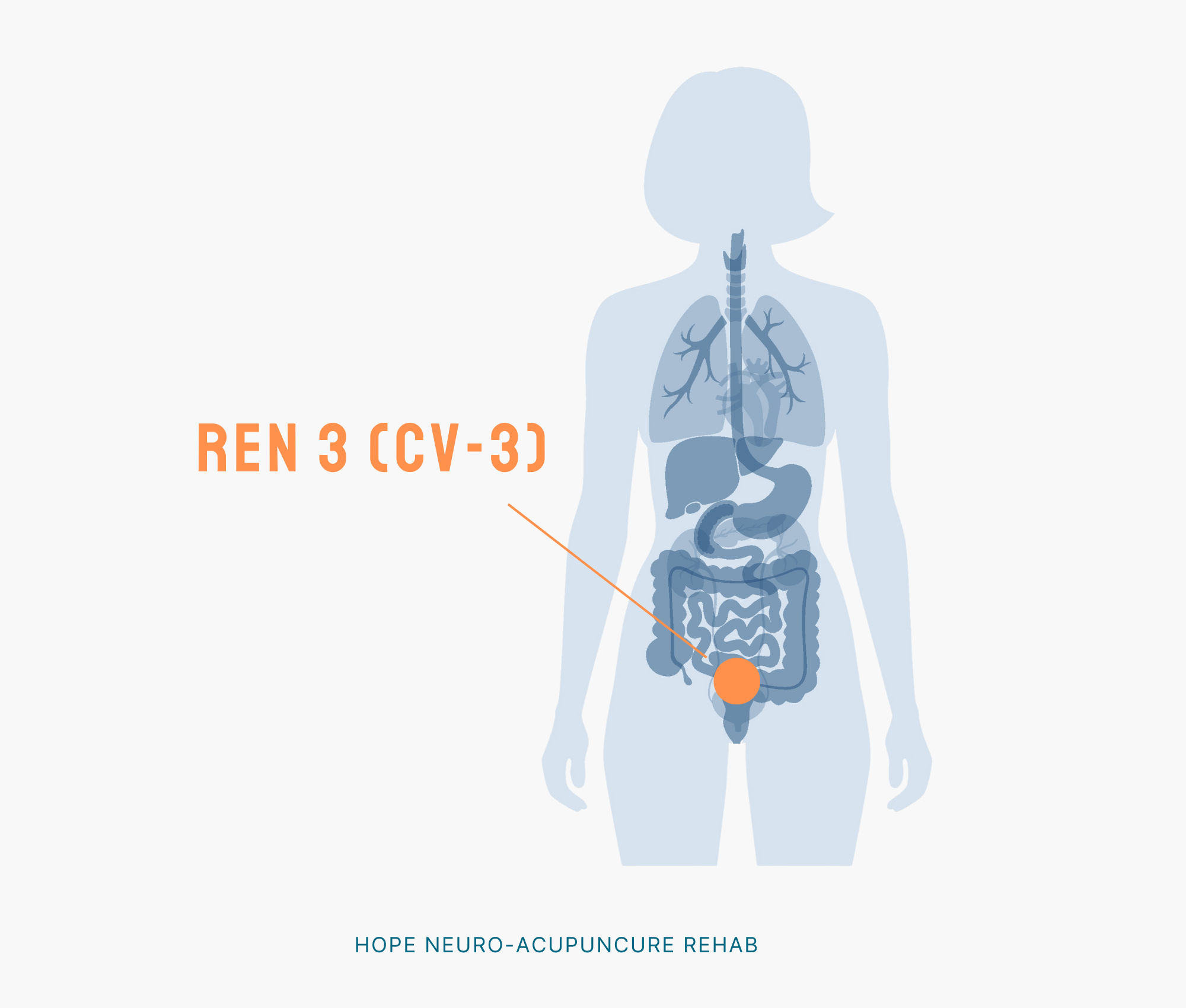 Ren 3 Acupuncture Point: The Ultimate Guide to its Benefits ...