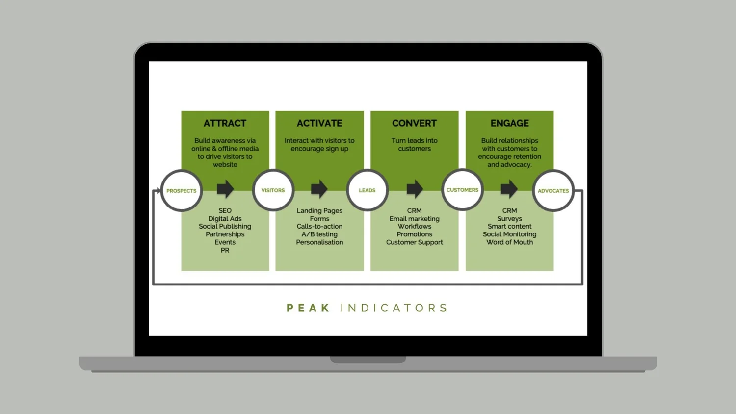 Brand, Marketing & Growth for Peak Indicators | VerveIQ