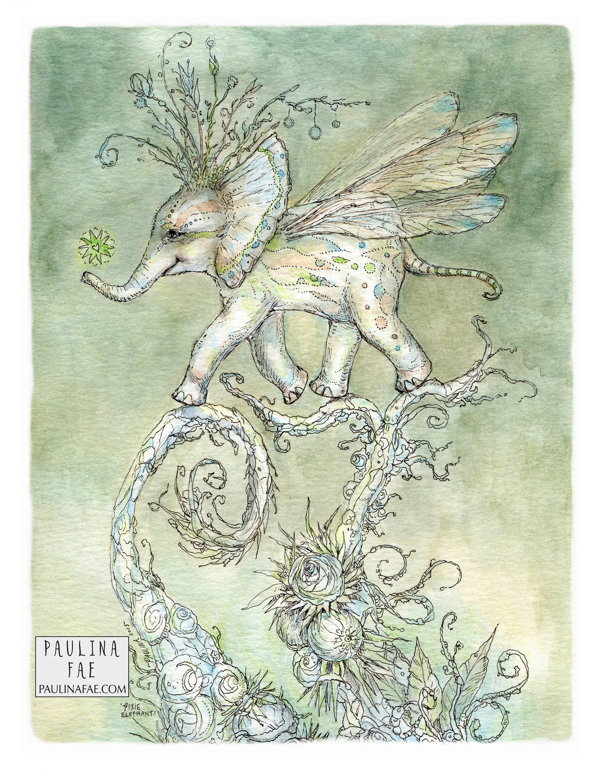 Pixie Elephant — Paulina Fae