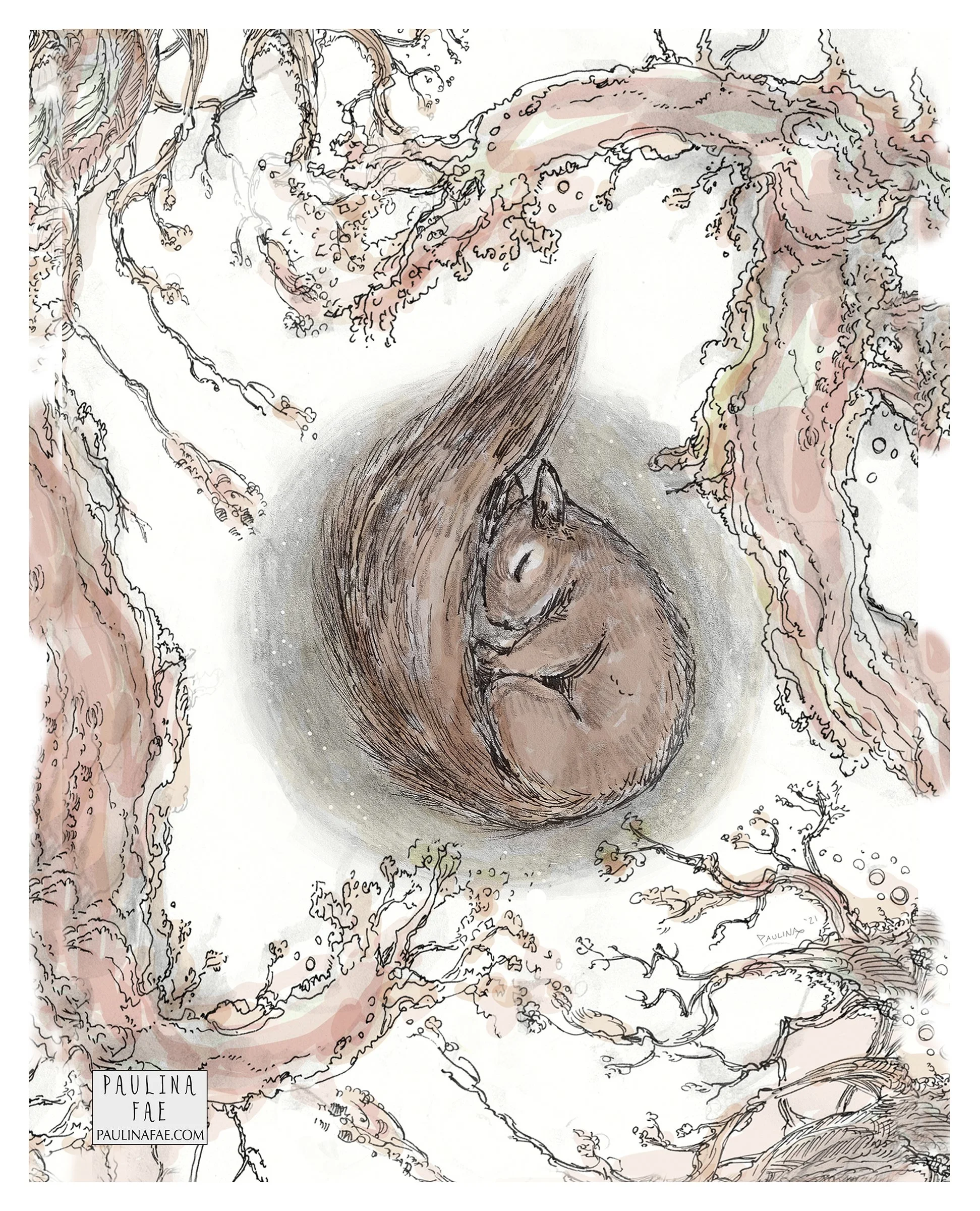 Sleeping Squirrel — Paulina Fae