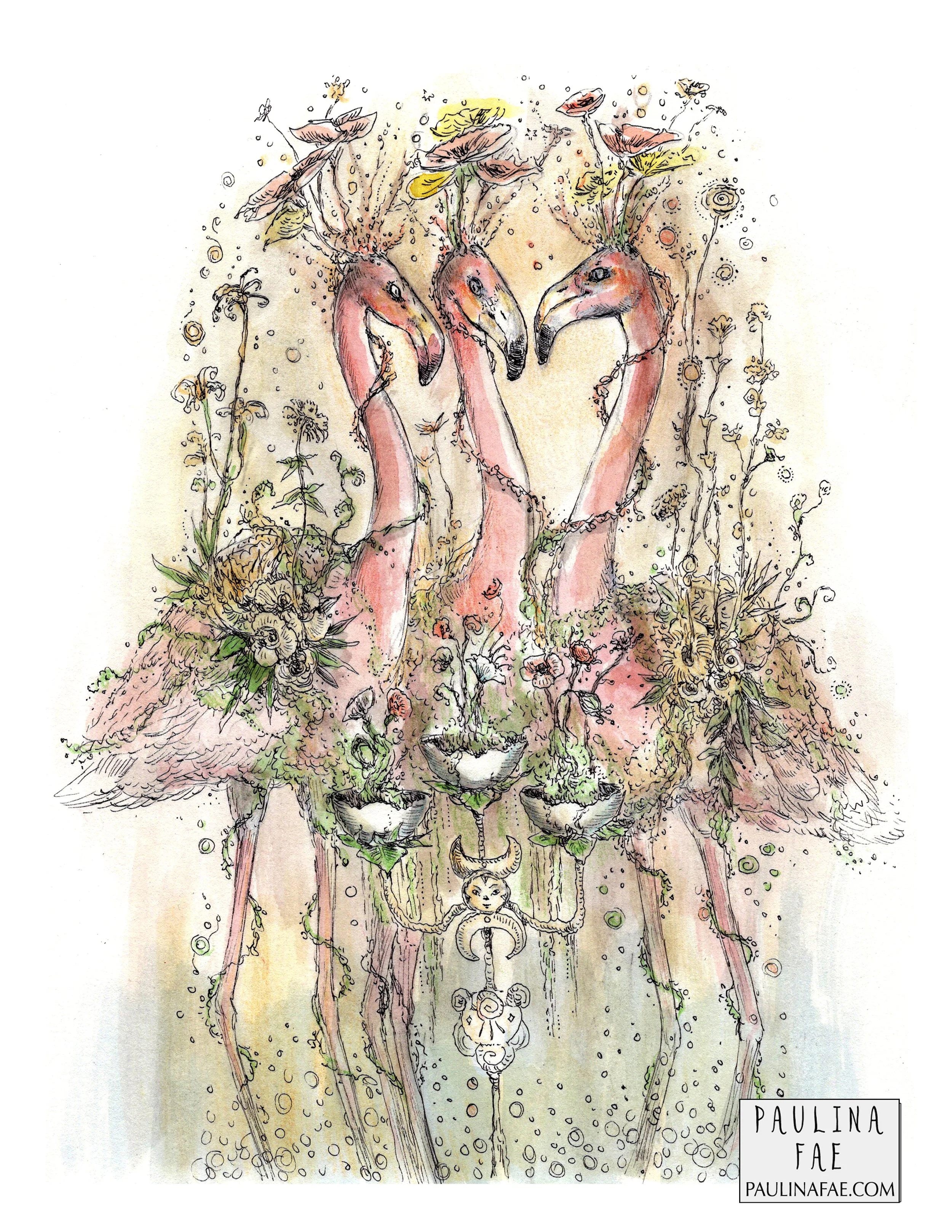 Flamingo Celebration — Paulina Fae