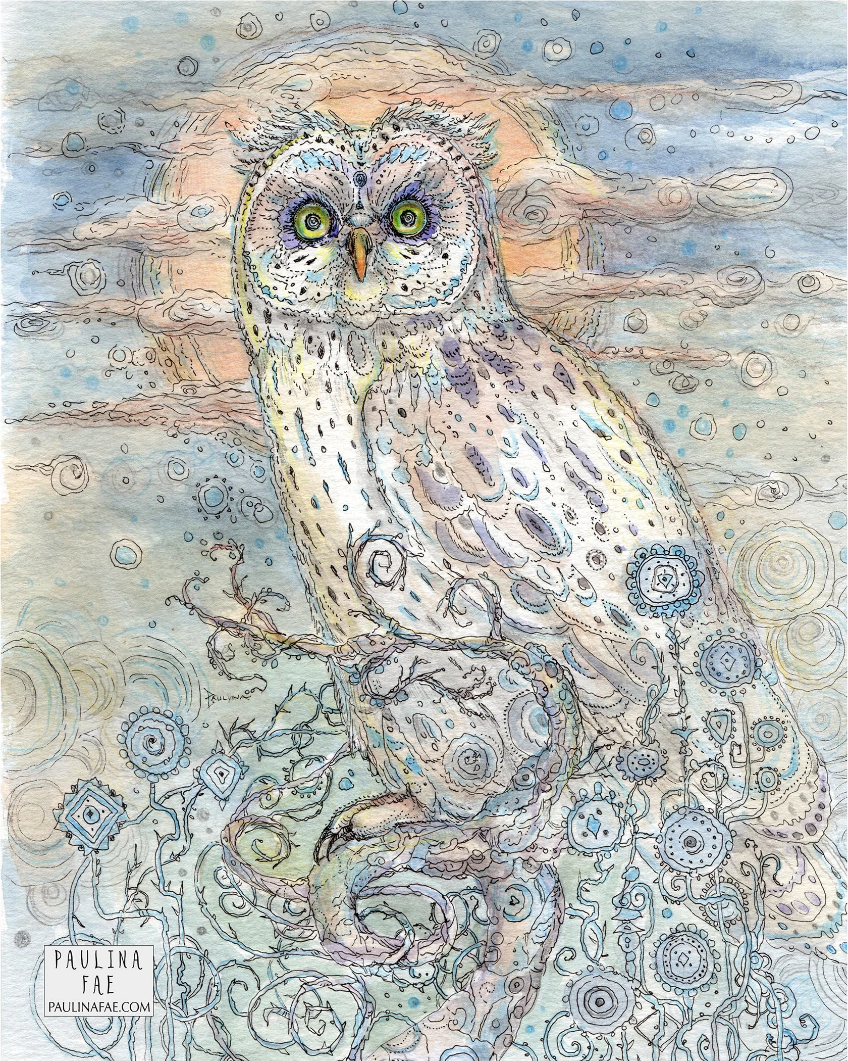 Spiritsong Owl — Paulina Fae
