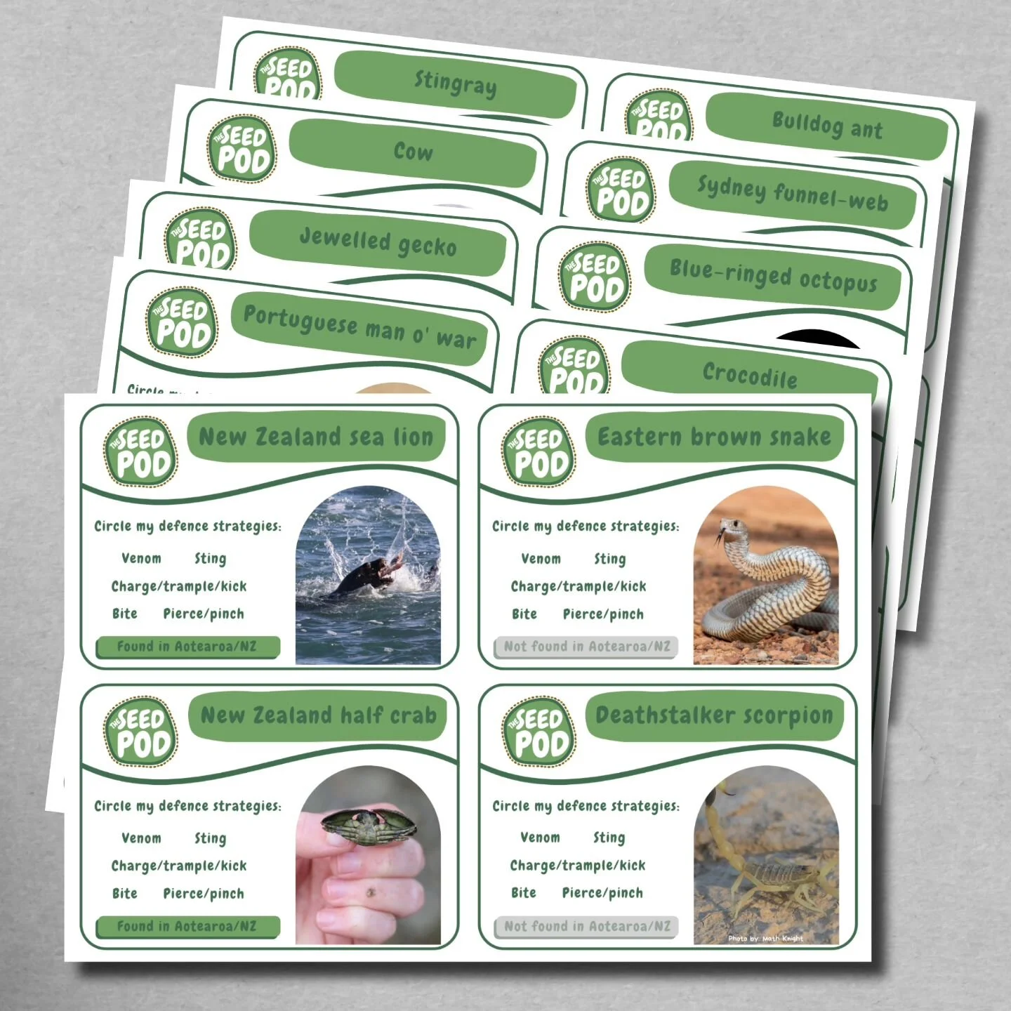 Podcast — The Seed Pod