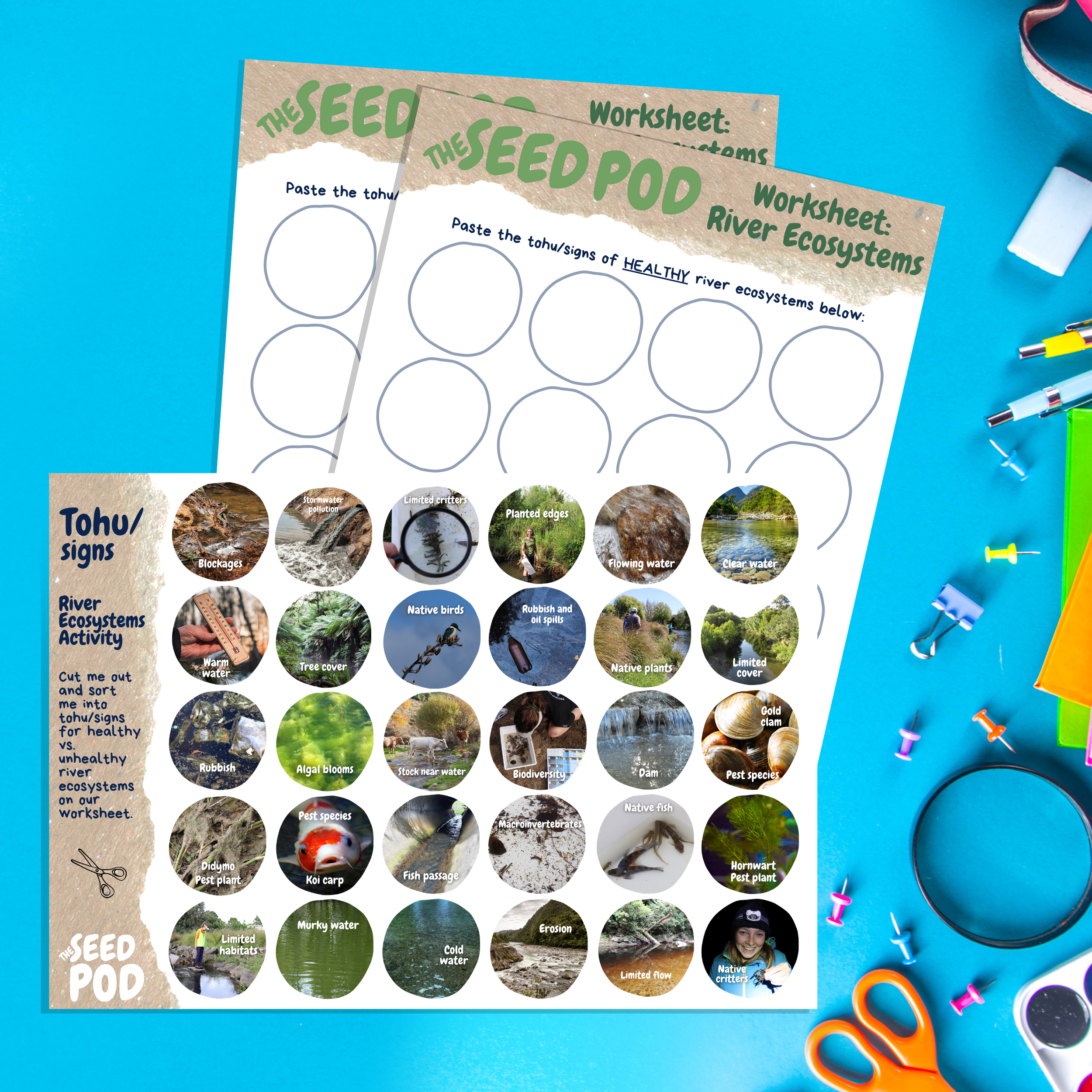 River Tohu/Signs — The Seed Pod