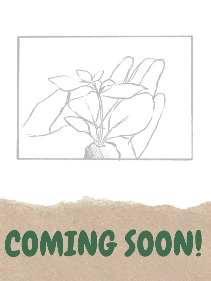 Science Communication Comics — The Seed Pod