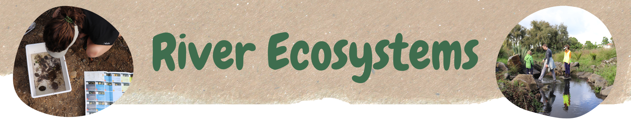 River Ecosystems & Tohu/Signs — The Seed Pod