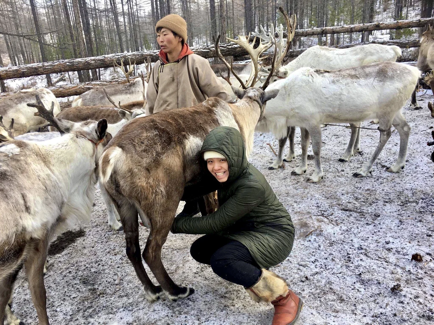 Experience Magical Taiga: Meet The Mystical Tsaatan Reindeer Herders in ...