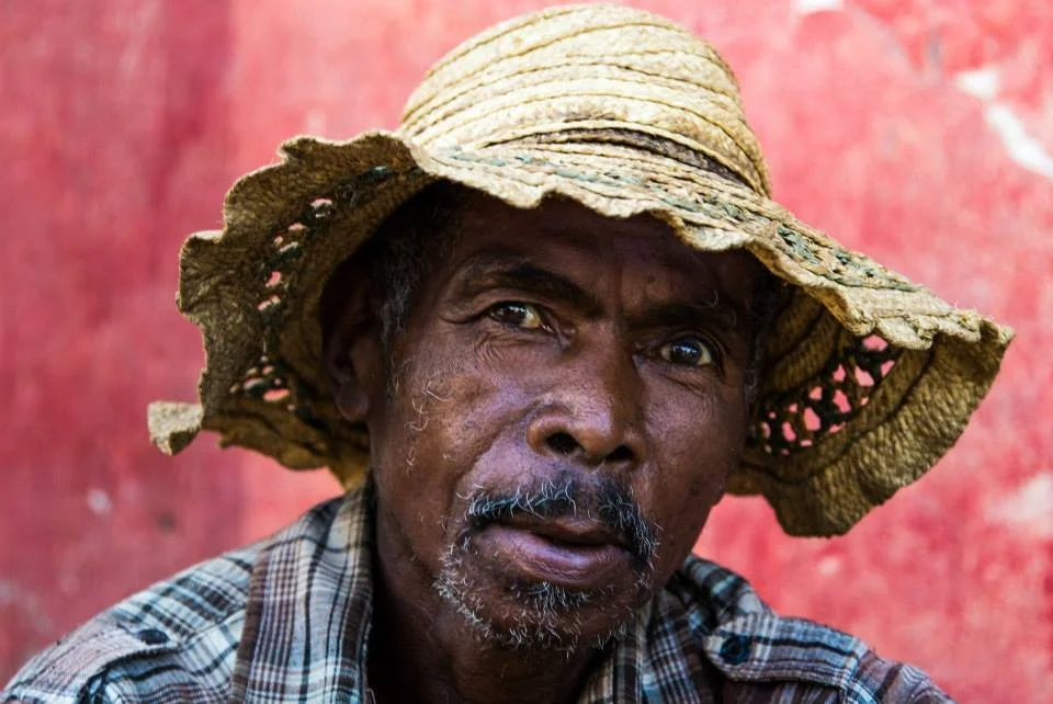 Explore West Madagascar: Lemurs, Alien Trees, and More — Beyond ...