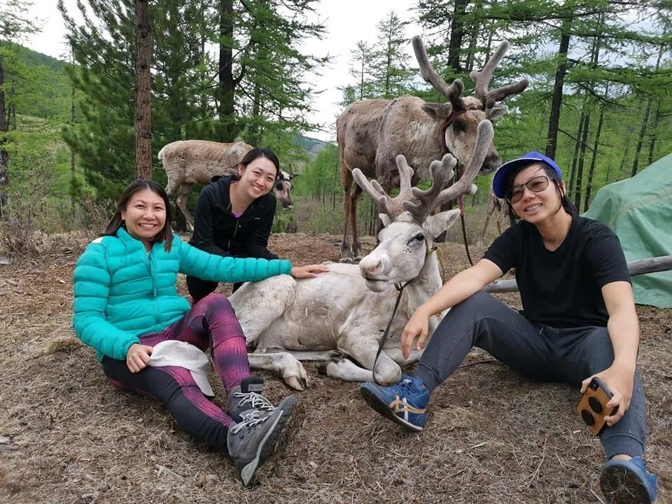 Experience Magical Taiga: Meet The Mystical Tsaatan Reindeer Herders in ...