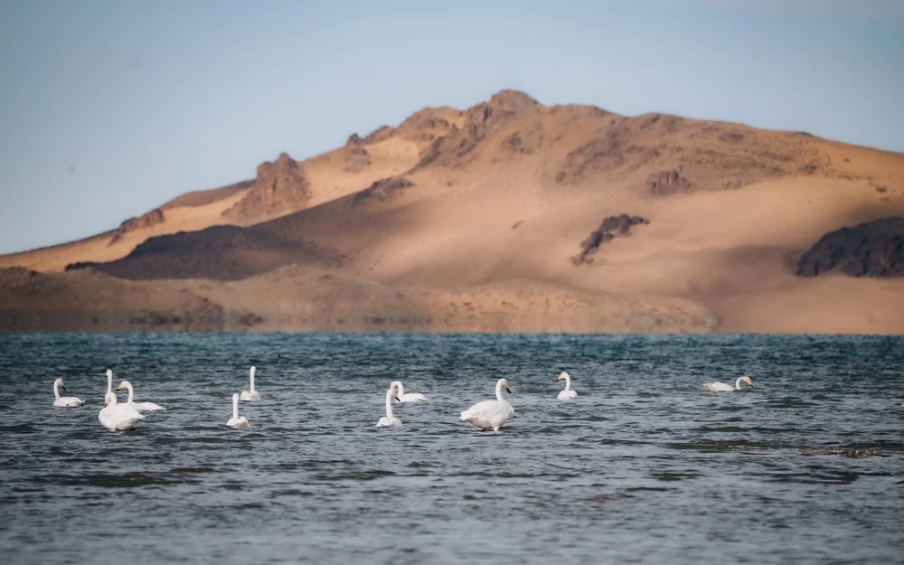 The annual Legendary Kazakh Golden Eagle Hunting Festival — Beyond ...
