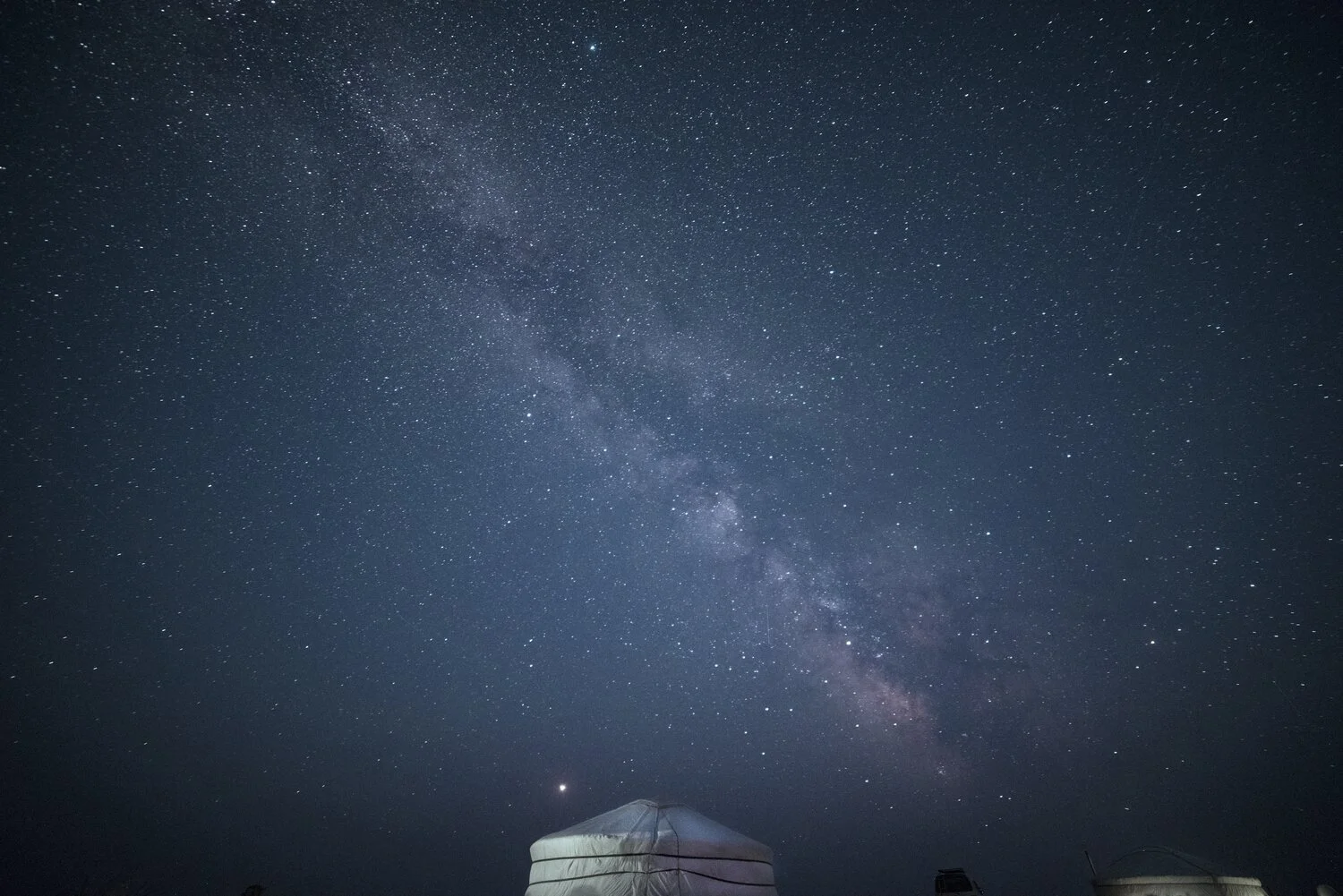 Experience Magical Taiga: Meet The Mystical Tsaatan Reindeer Herders in ...
