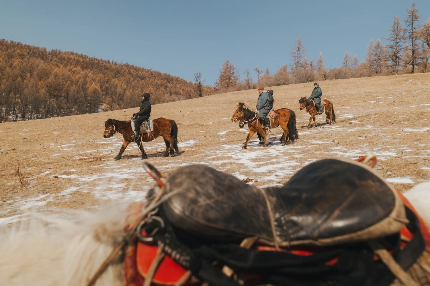 Experience Magical Taiga: Meet The Mystical Tsaatan Reindeer Herders in ...