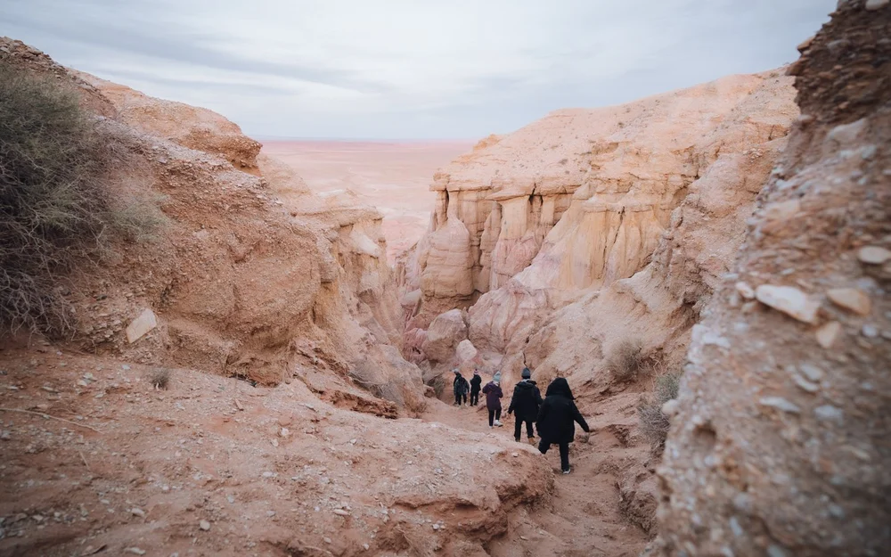 Live the Legend of Gobi with the Mystical Camel Nomads of South ...
