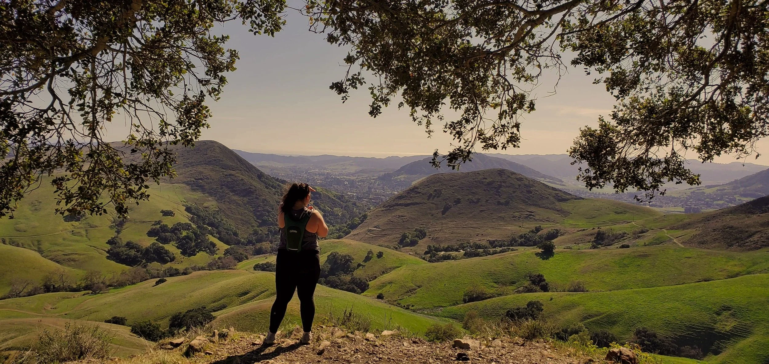 Provost Family Chiropractic