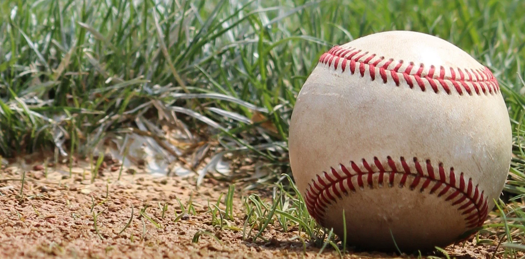 Foul balls of the law — Baseball (and other cool stuff)