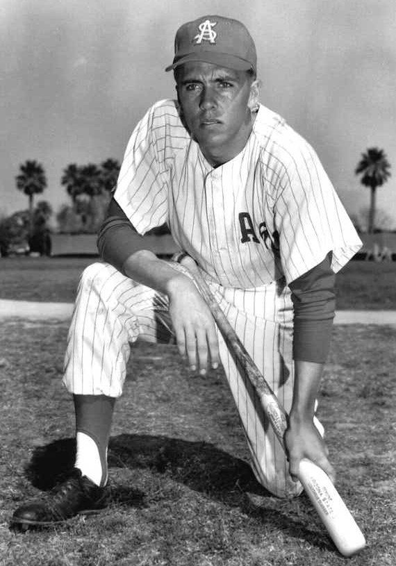 The first draft — Baseball (and other cool stuff)