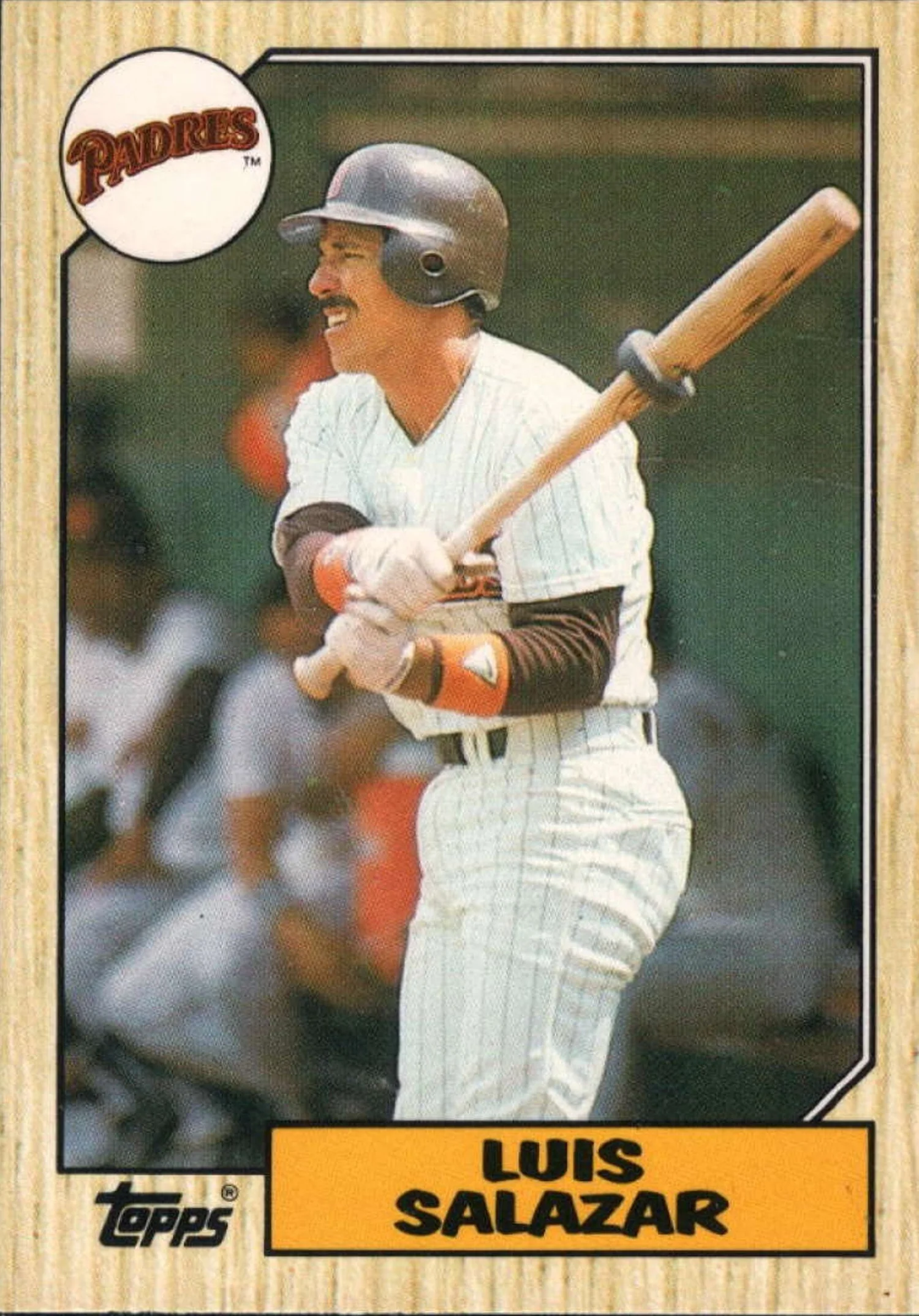 Quote of the day: Luis Salazar — Baseball (and other cool stuff)