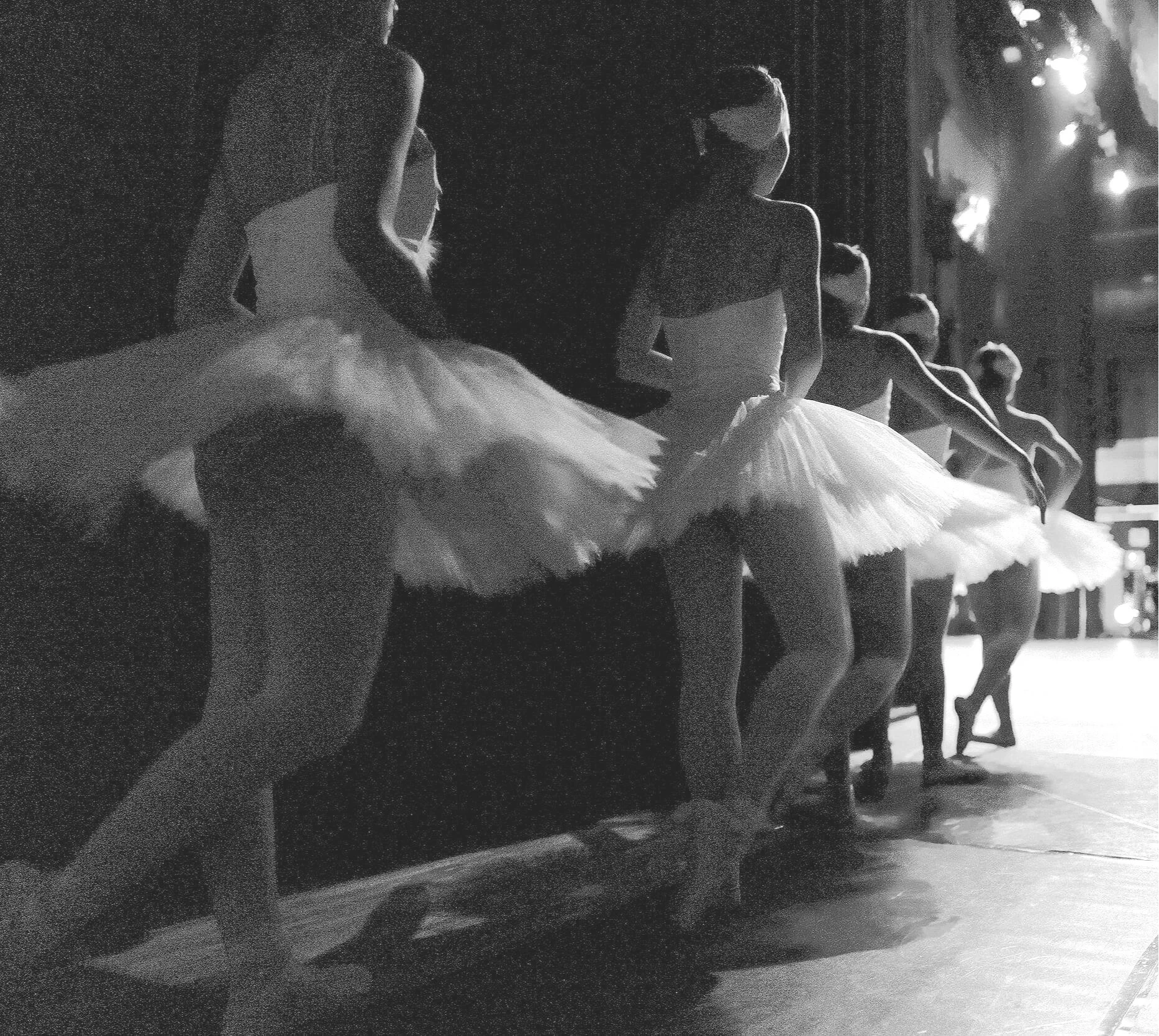 Dance Content Club | Your Ultimate Social Media Upgrade for Studios — Creative Branding Studio