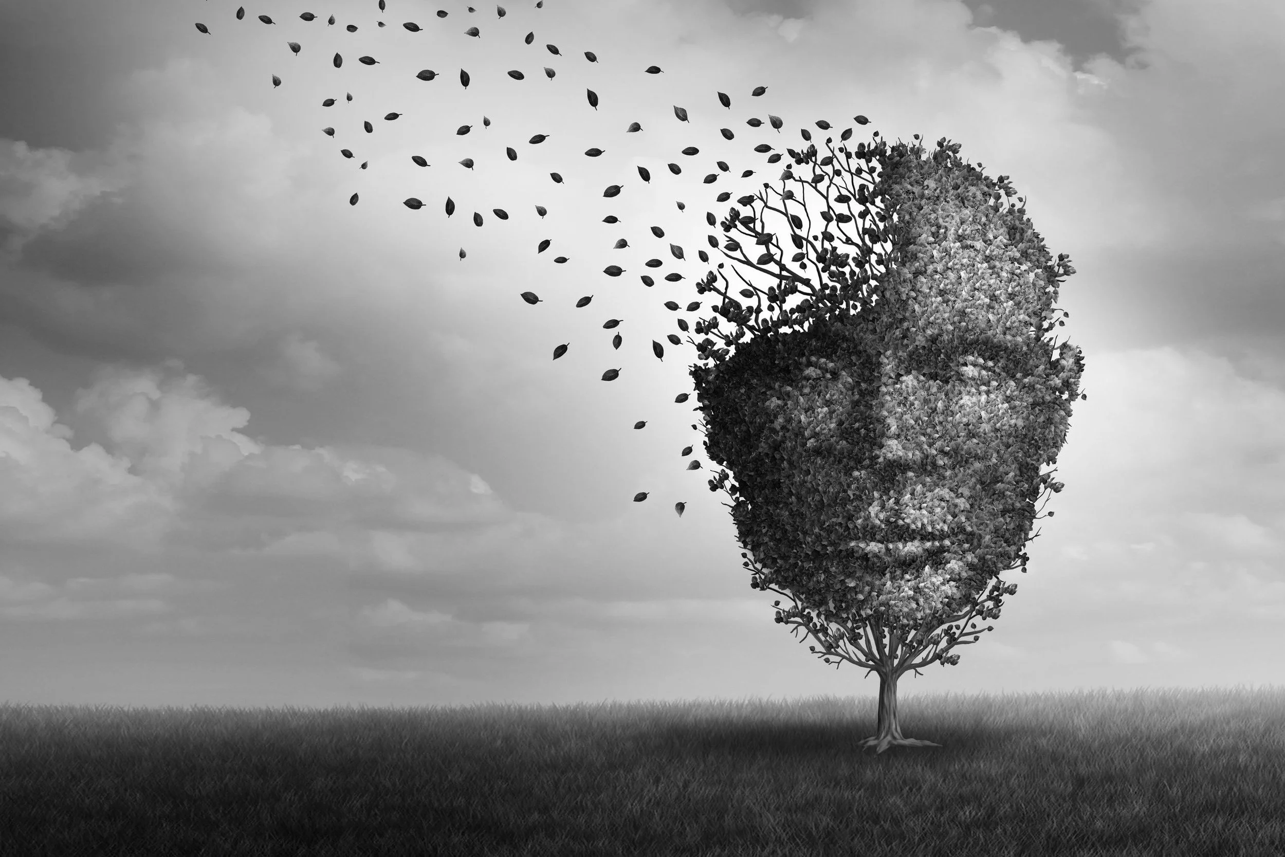 Secrets told to a grief therapist about experiences with well-meaning ...