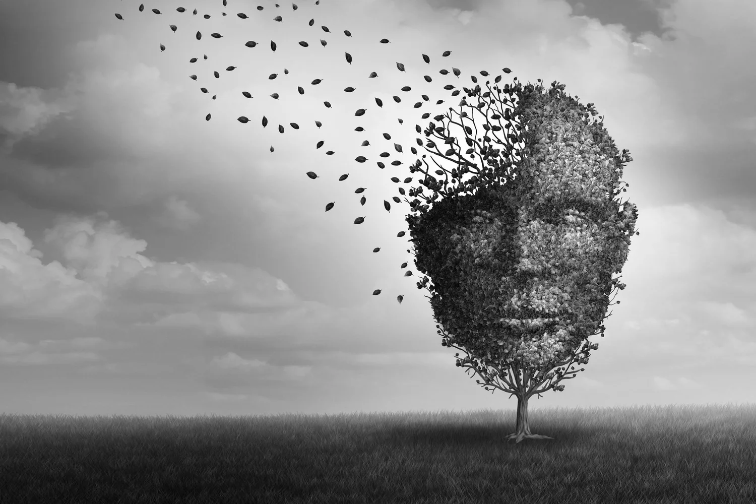 Secrets told to a grief therapist about experiences with well-meaning ...