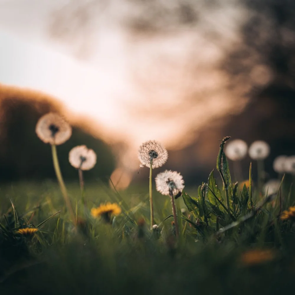 Remembering Our Babies — Empty Cradle