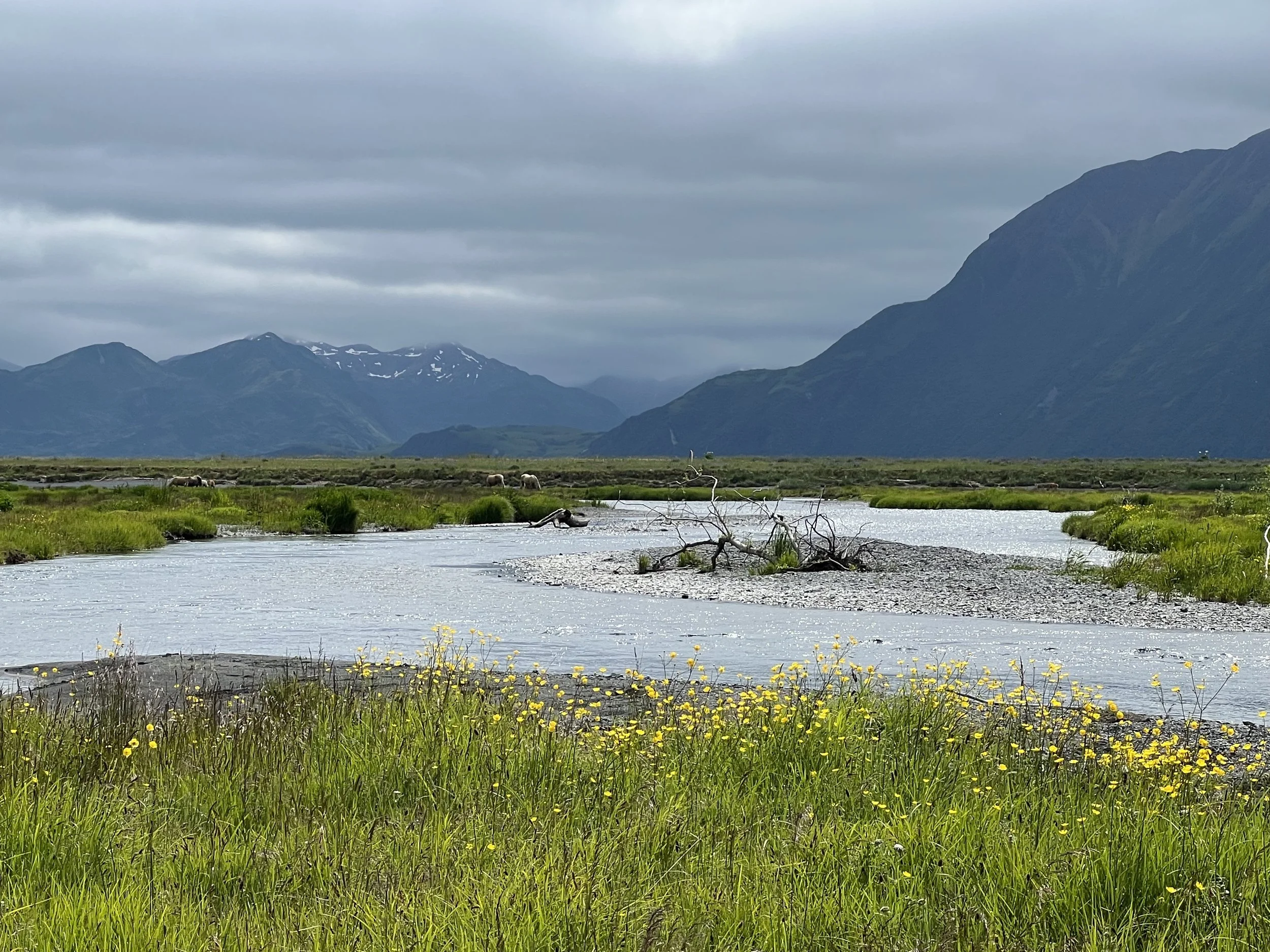 River Fishing-Kodiak Alaskan Adventures