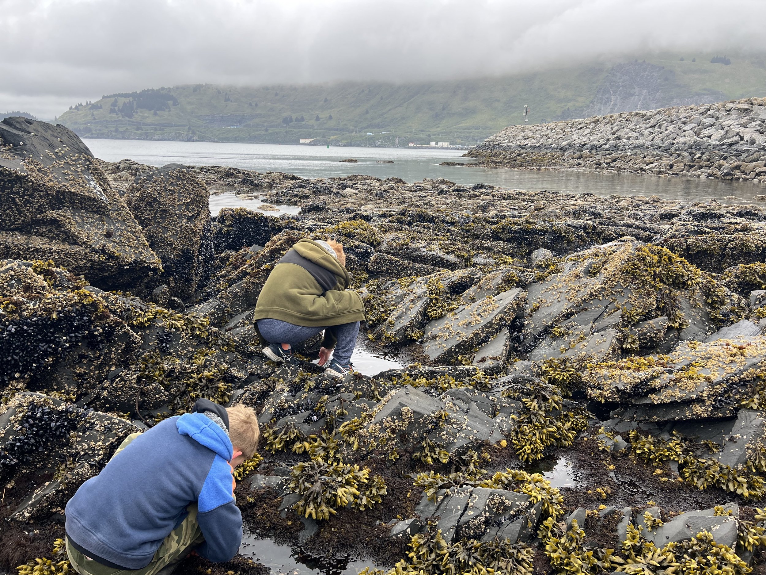 Vacation Package-Kodiak Alaskan Adventures