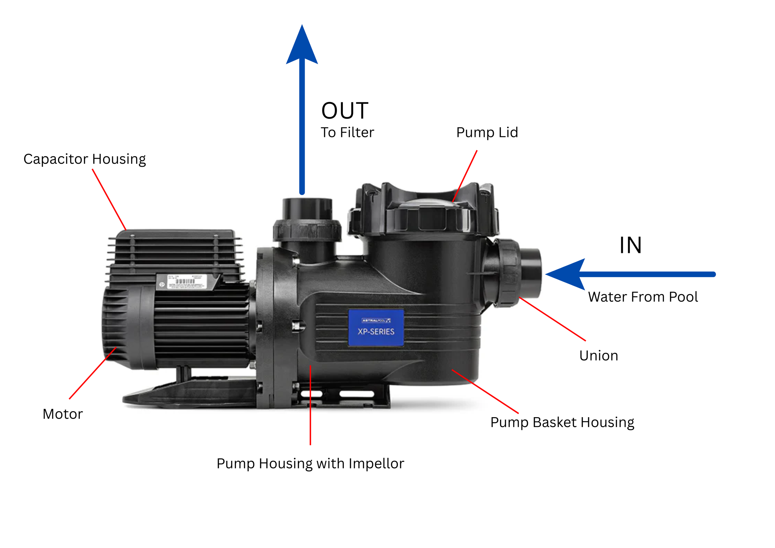 Pool Pump Series: Get to Know Your Pool Pump — Mick's Pool Care