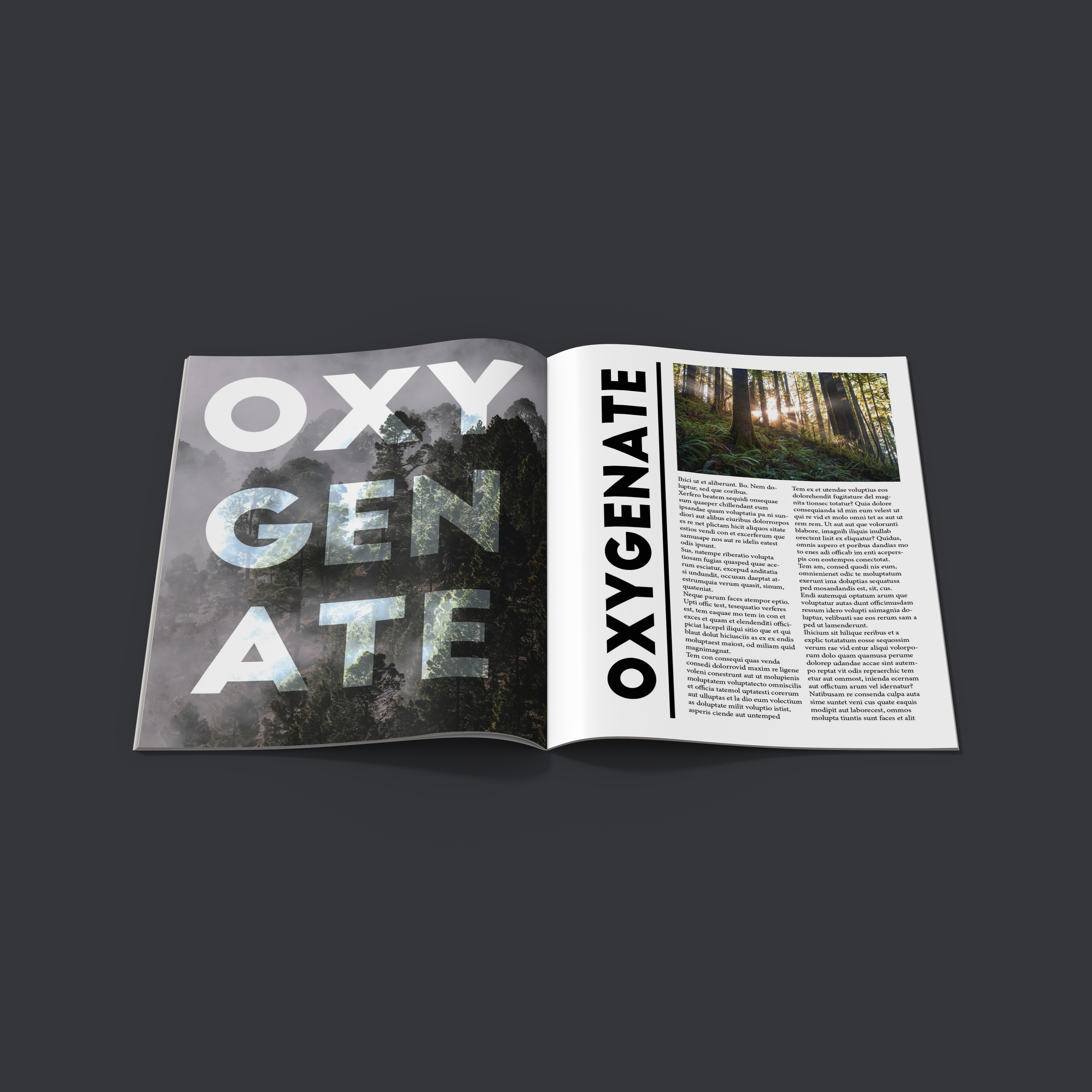 LYH STUDIO - Portfolio & Layout Design - Learn Adobe InDesign