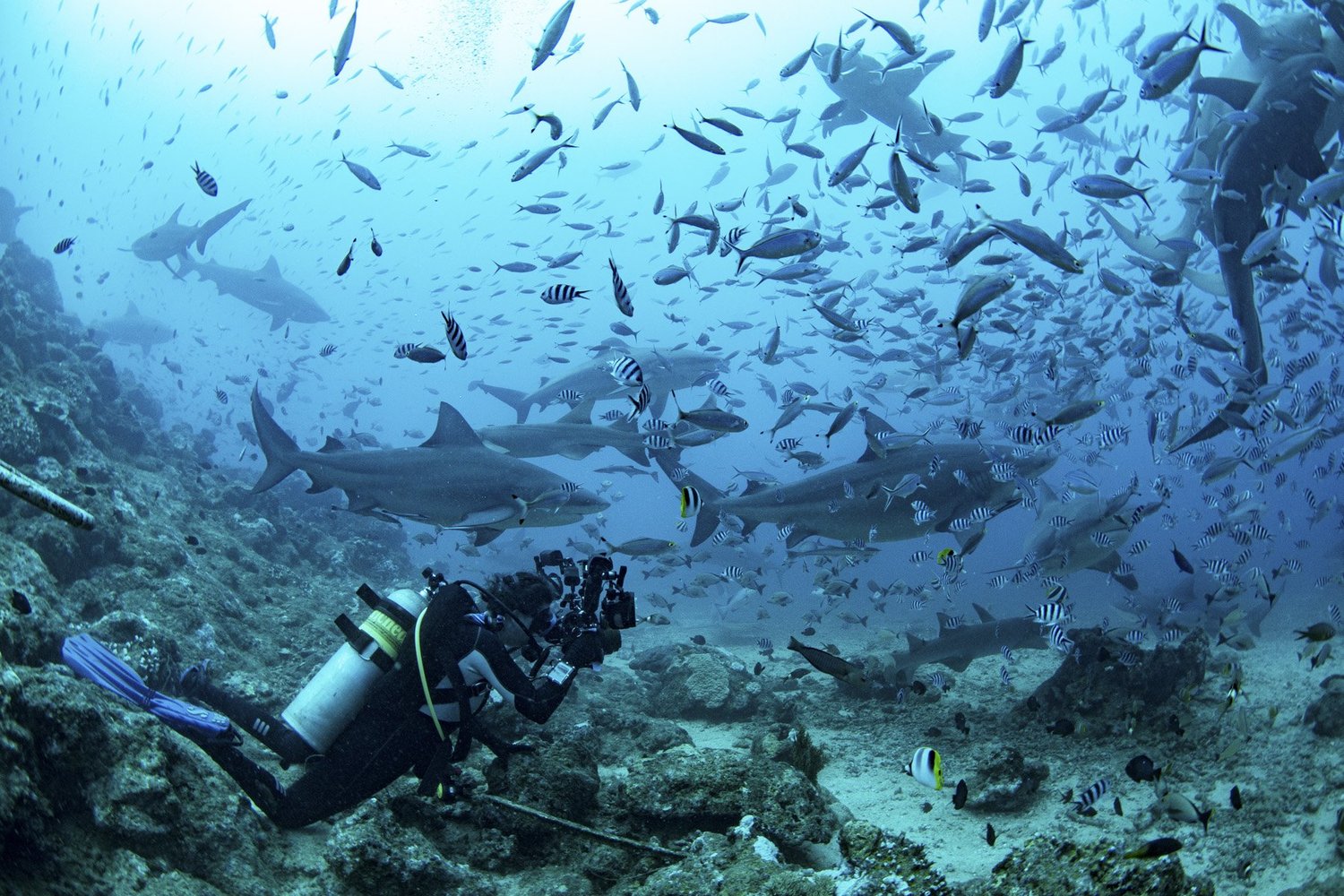 about us — Aqua Trek Beqa