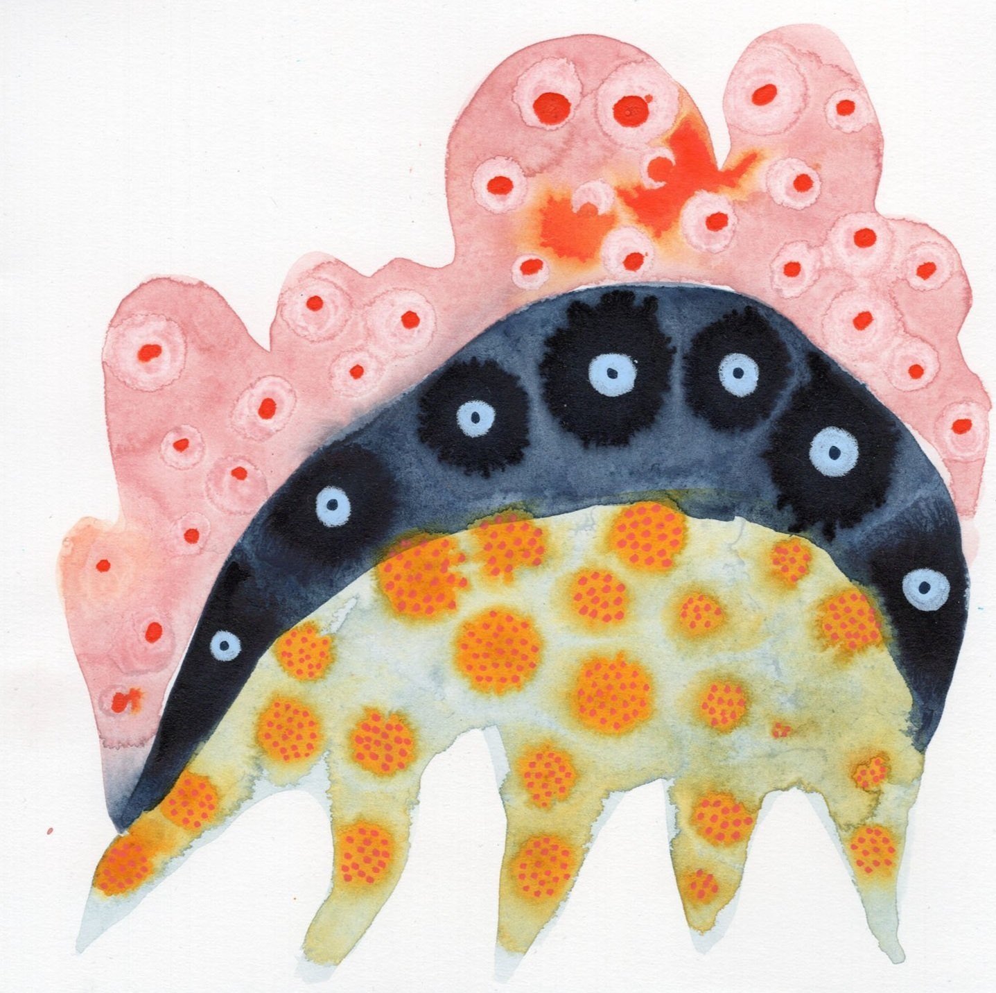 Kelly McCallum