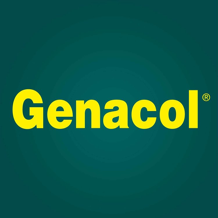 Héneault chante Reno – Spectacle hommage à Ginette Reno