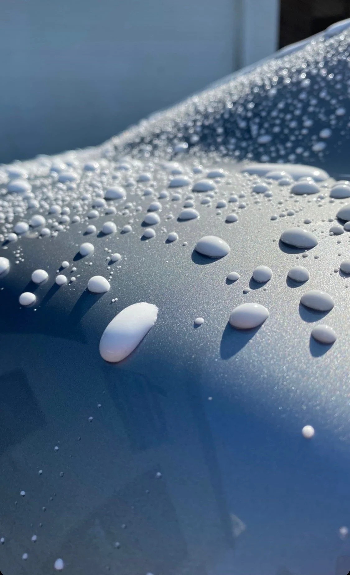 Portland Auto Care - Premier Paint Protection & Auto Detailing Portland ...