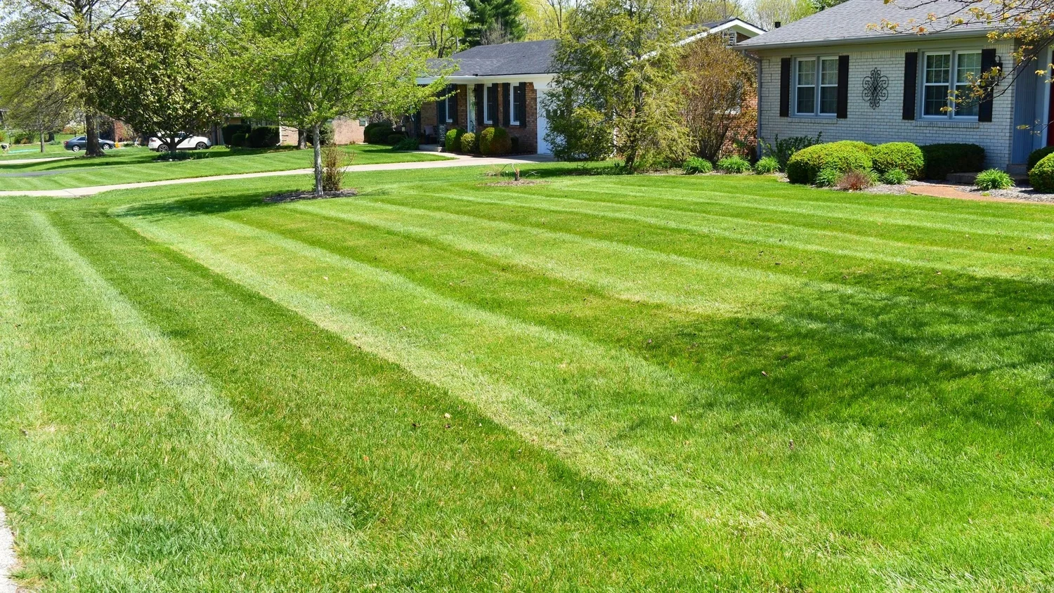 Akers Lawn Care & Landscaping | Georgetown, KY