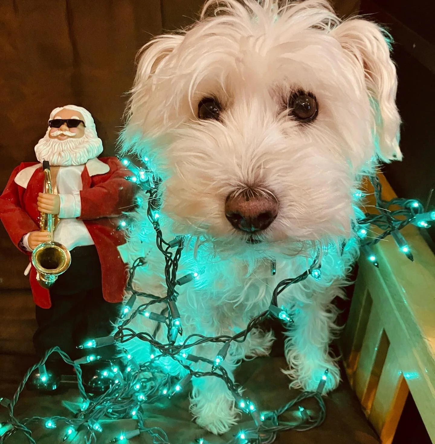 Book A Session — Acadia Recording Company