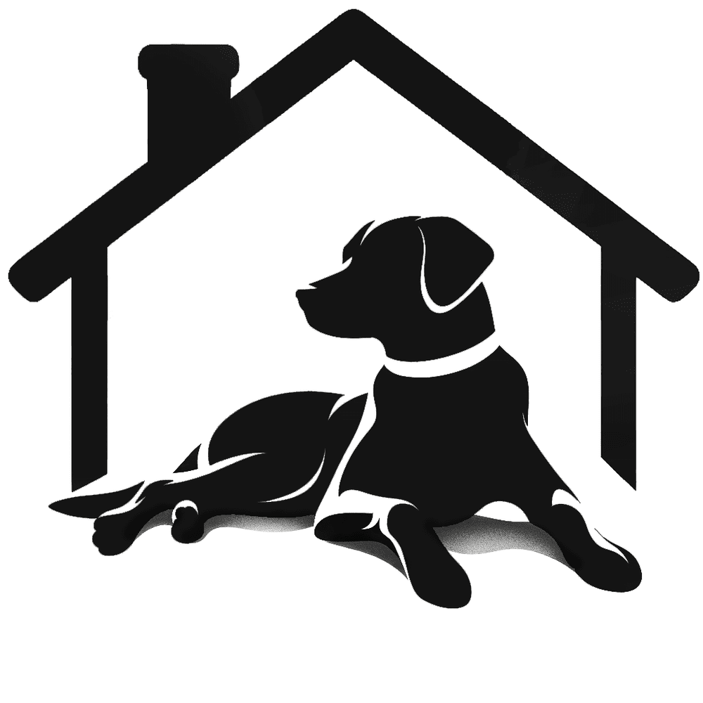 Professional Dog Training Services | Heel & Heal K9 — Heel and Heal K9