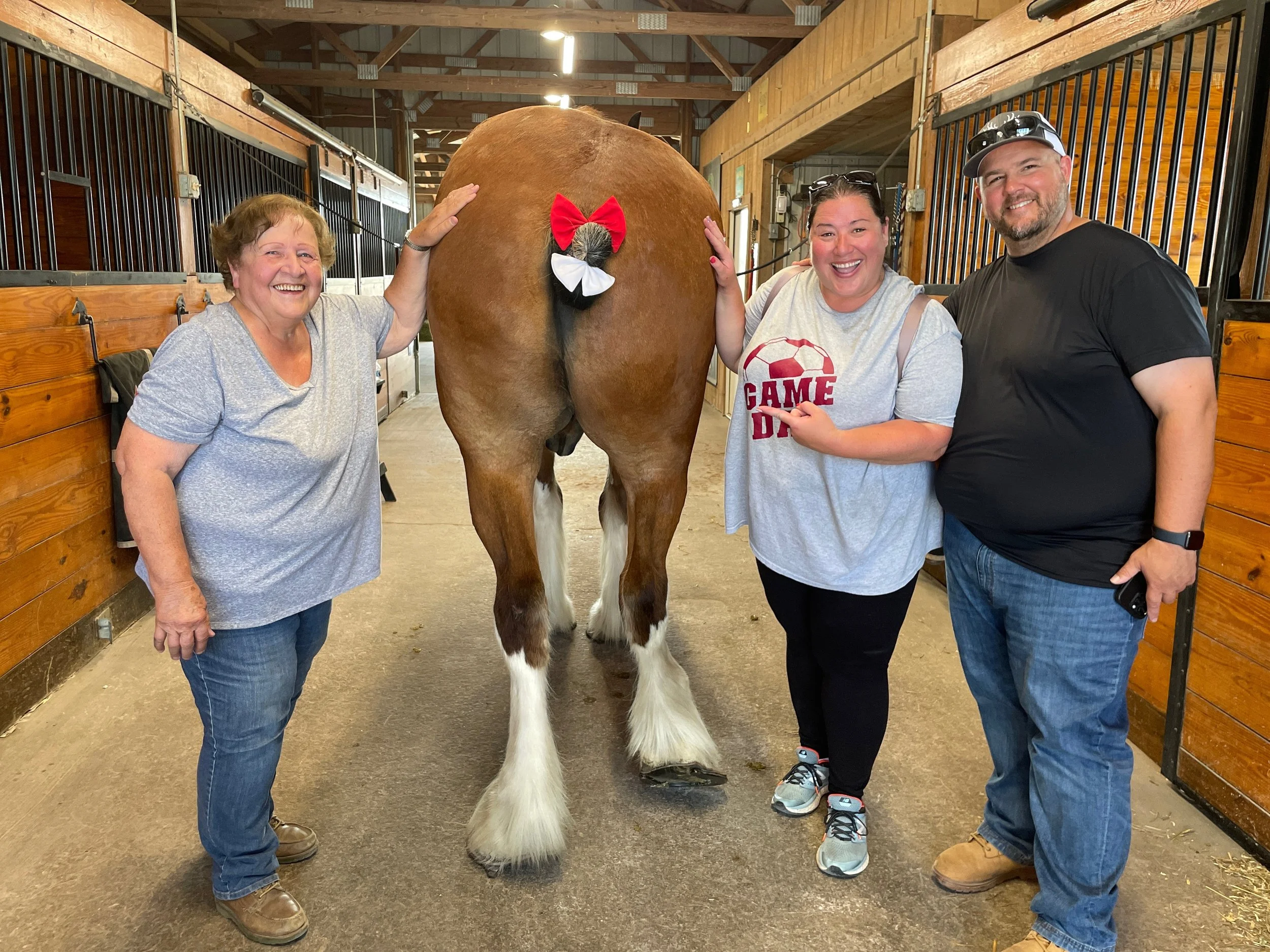 General 2 — JFP EQUINE, INC.