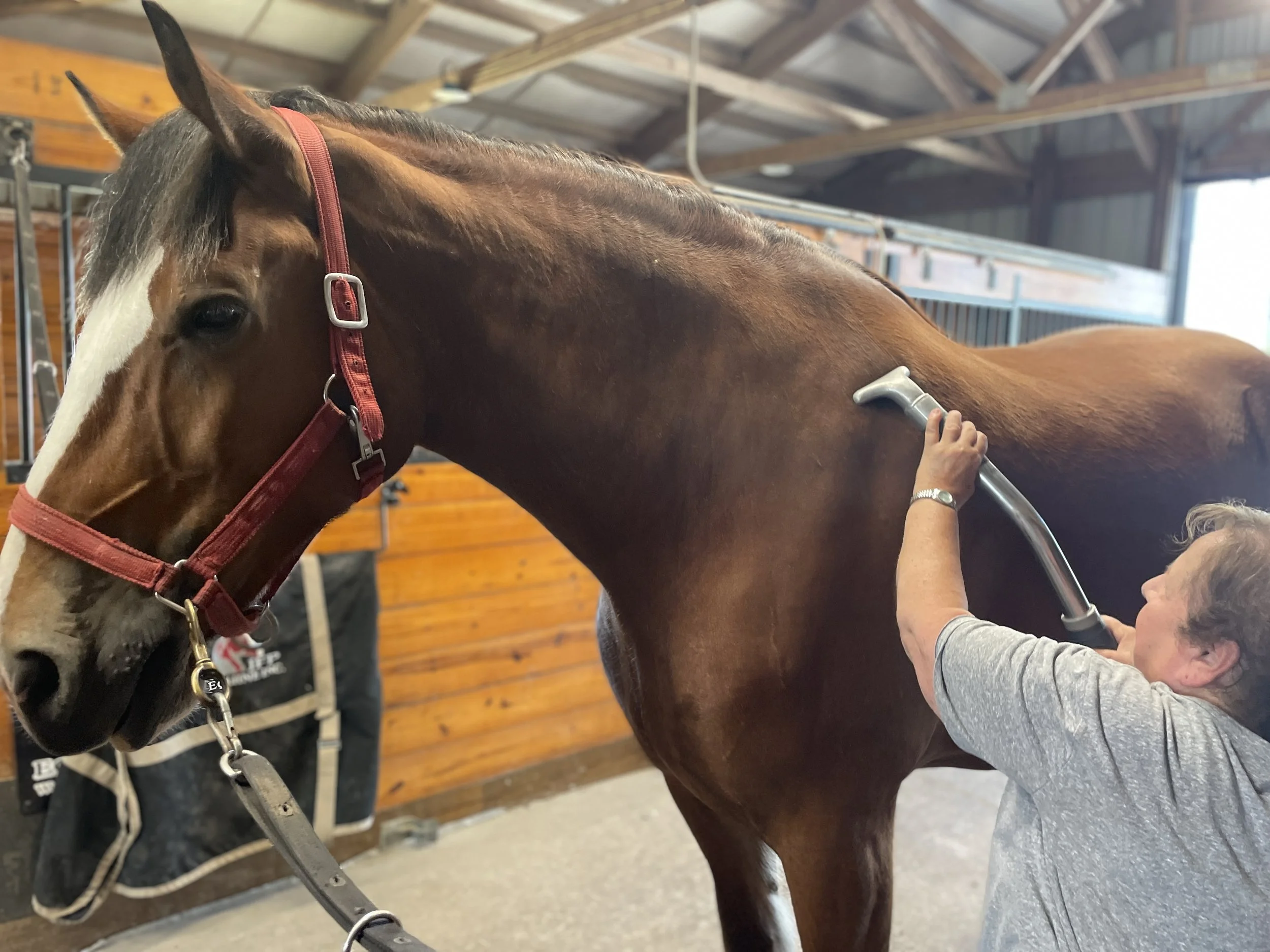 General 2 — JFP EQUINE, INC.