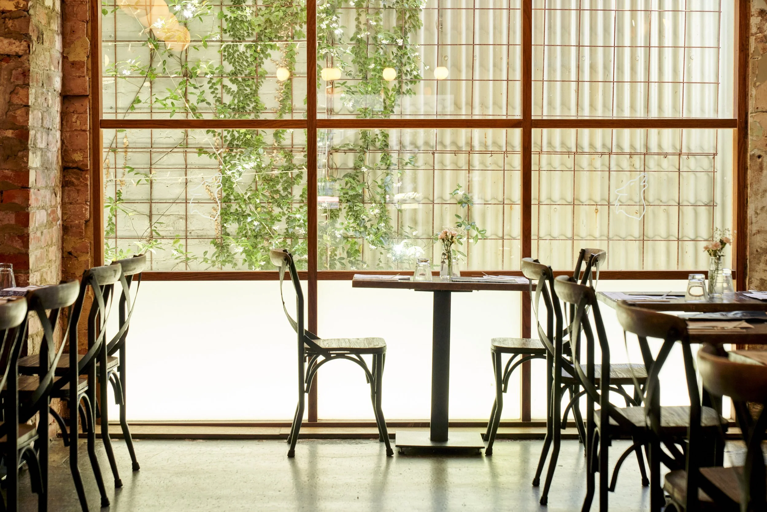 General 2 — The Wolf Windsor