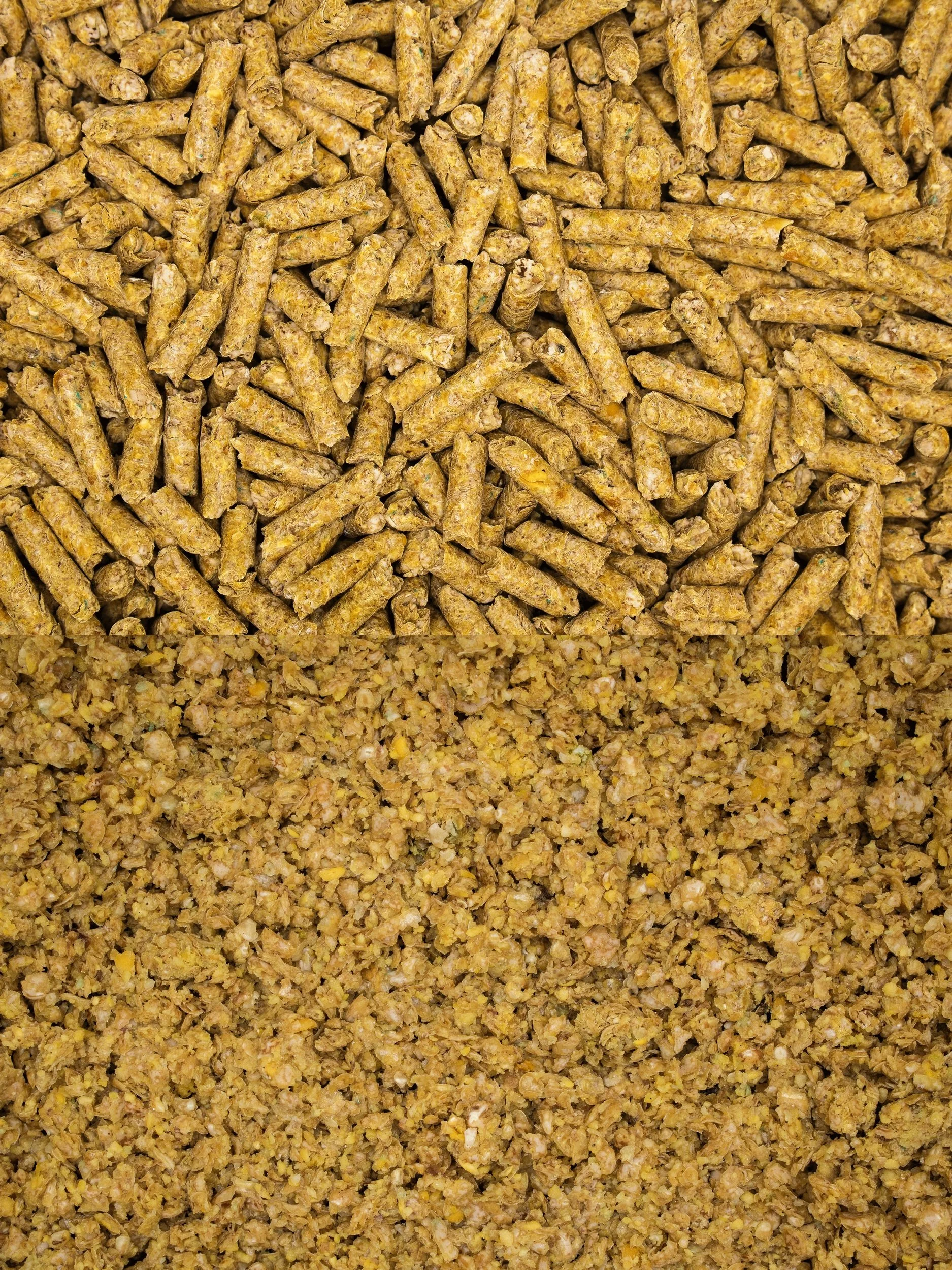 FibreWell — Iron Horse Equine Nutrition