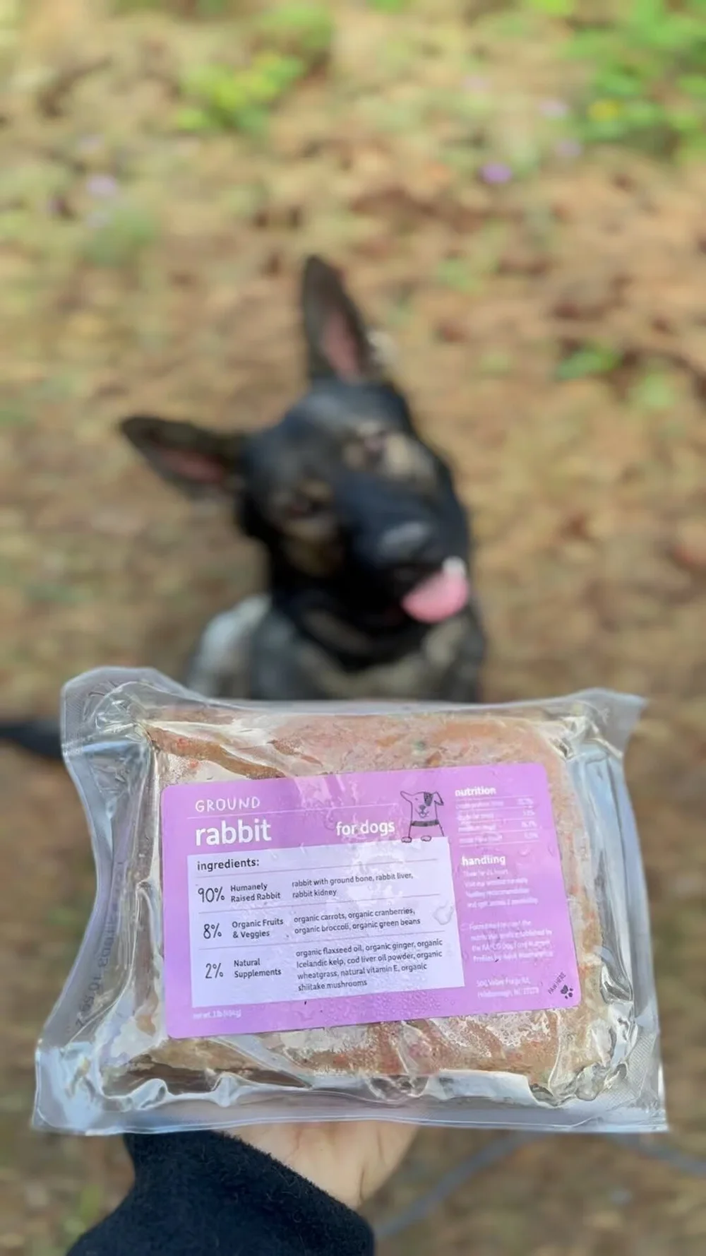 Meet Vilk — evazubeck