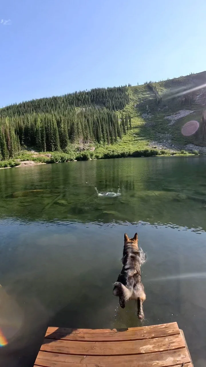 Meet Vilk — evazubeck