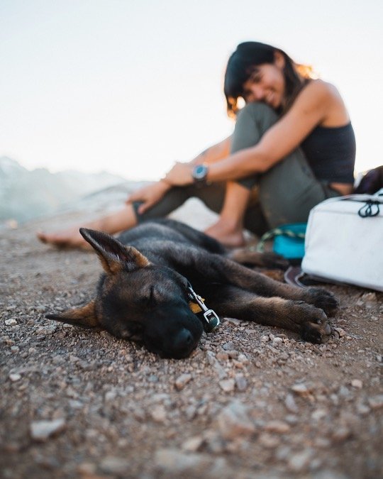 About me — evazubeck