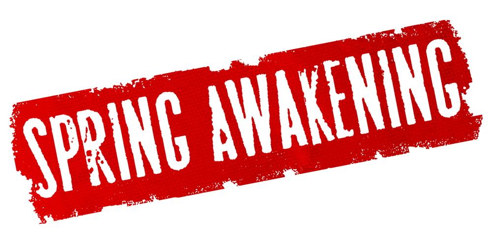 Williamstown Musical Theatre Company